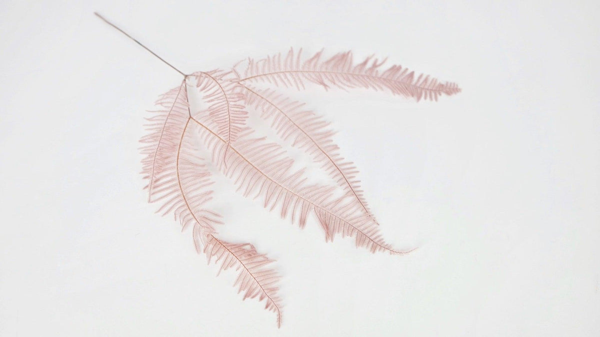 Bergfarn Farn konserviert Earth Matters - 1 Bund - Pink beige 081 – Si ...