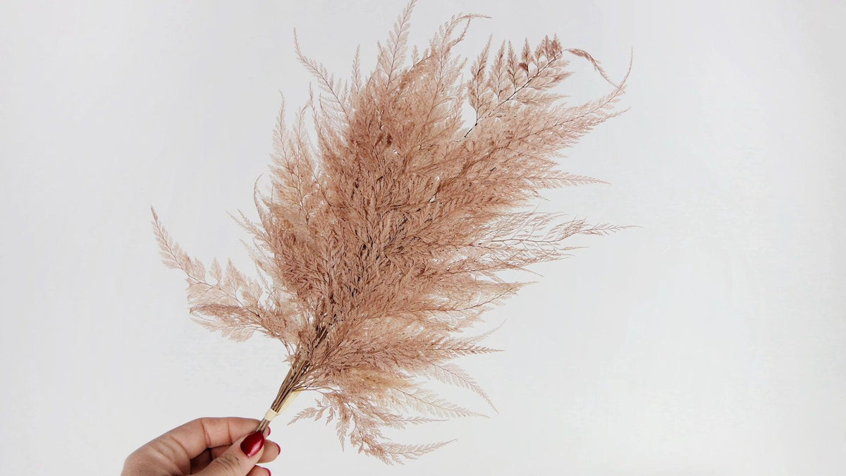 Fern snowflake preserved - Snow fern - blush – Si-nature